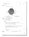 Quiz: Grade 10 Science - Optics and Lenses Practice Questions - Science ...