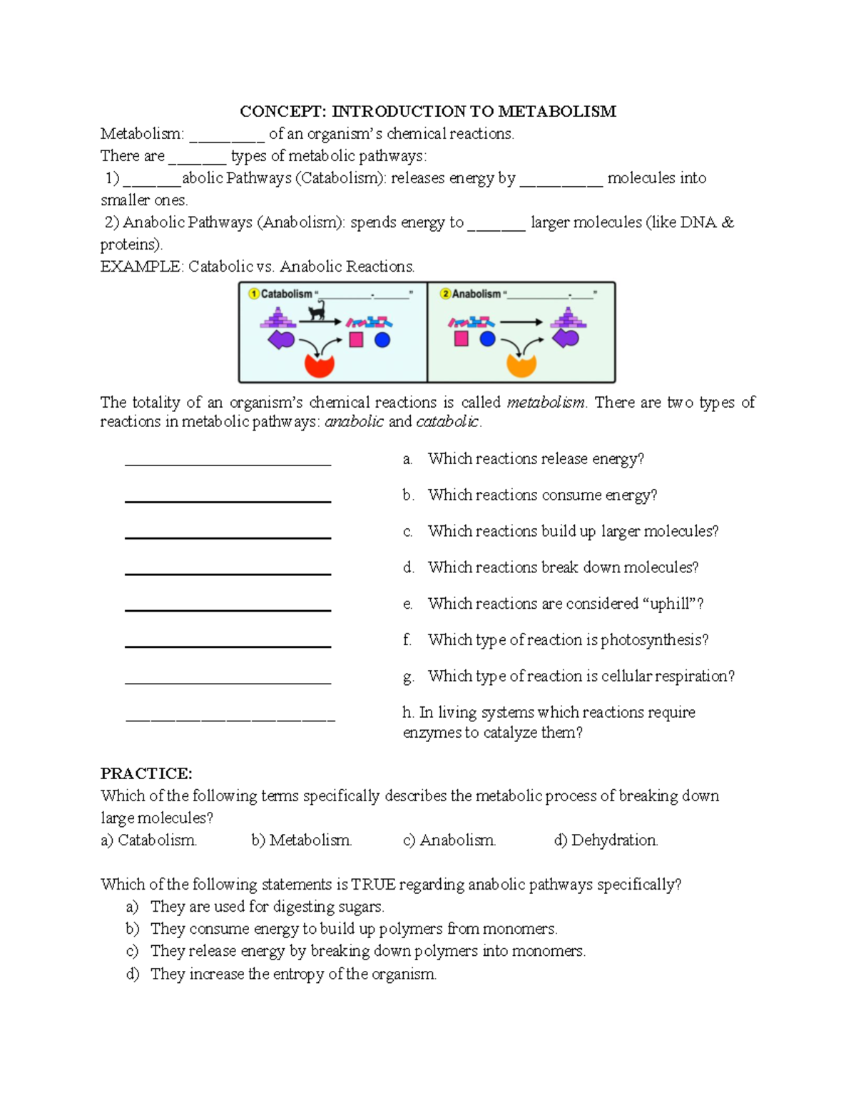 Cellular Respiration and Photosynthesis: Concepts Overview (BIO 101) - Studocu