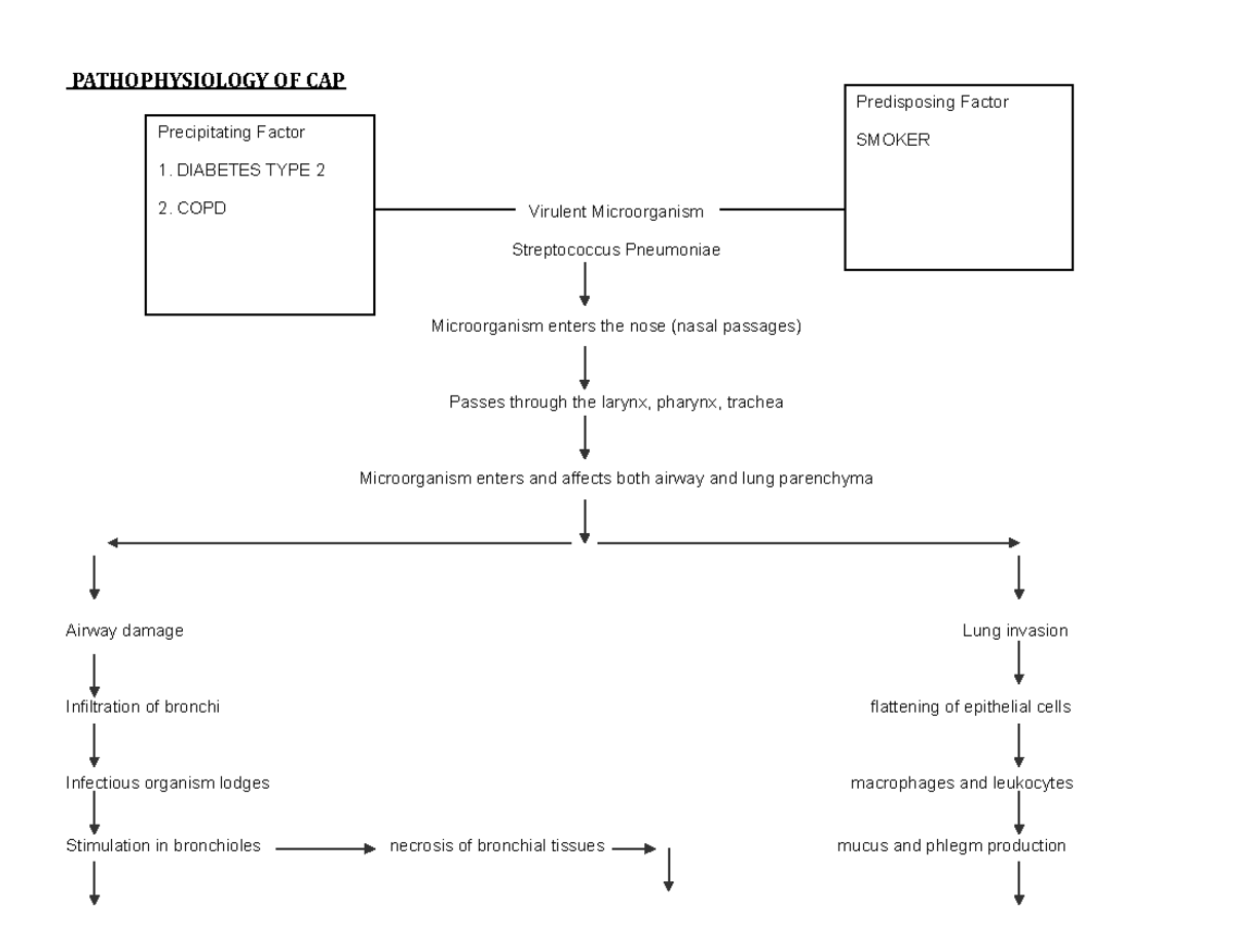 CAP Pathophy 2 - Lecture notes 2 - PATHOPHYSIOLOGY OF CAP Virulent ...