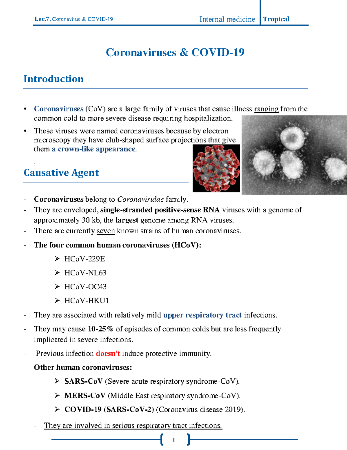 COVID-19 Lecture Notes: Overview, Transmission, and Prevention Guide ...