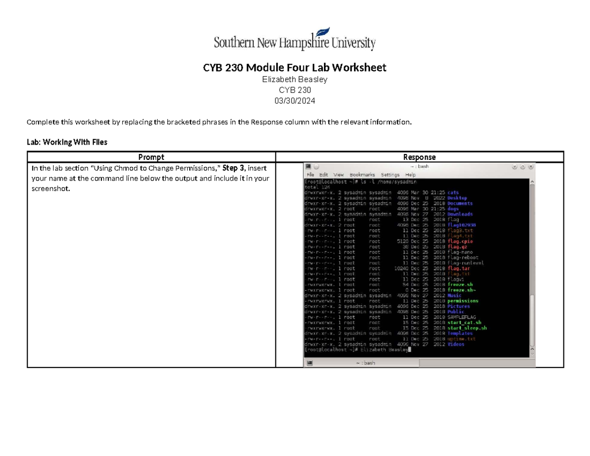 CYB 230 Lab 4 Beasley - general course work - CYB 230 Module Four Lab ...