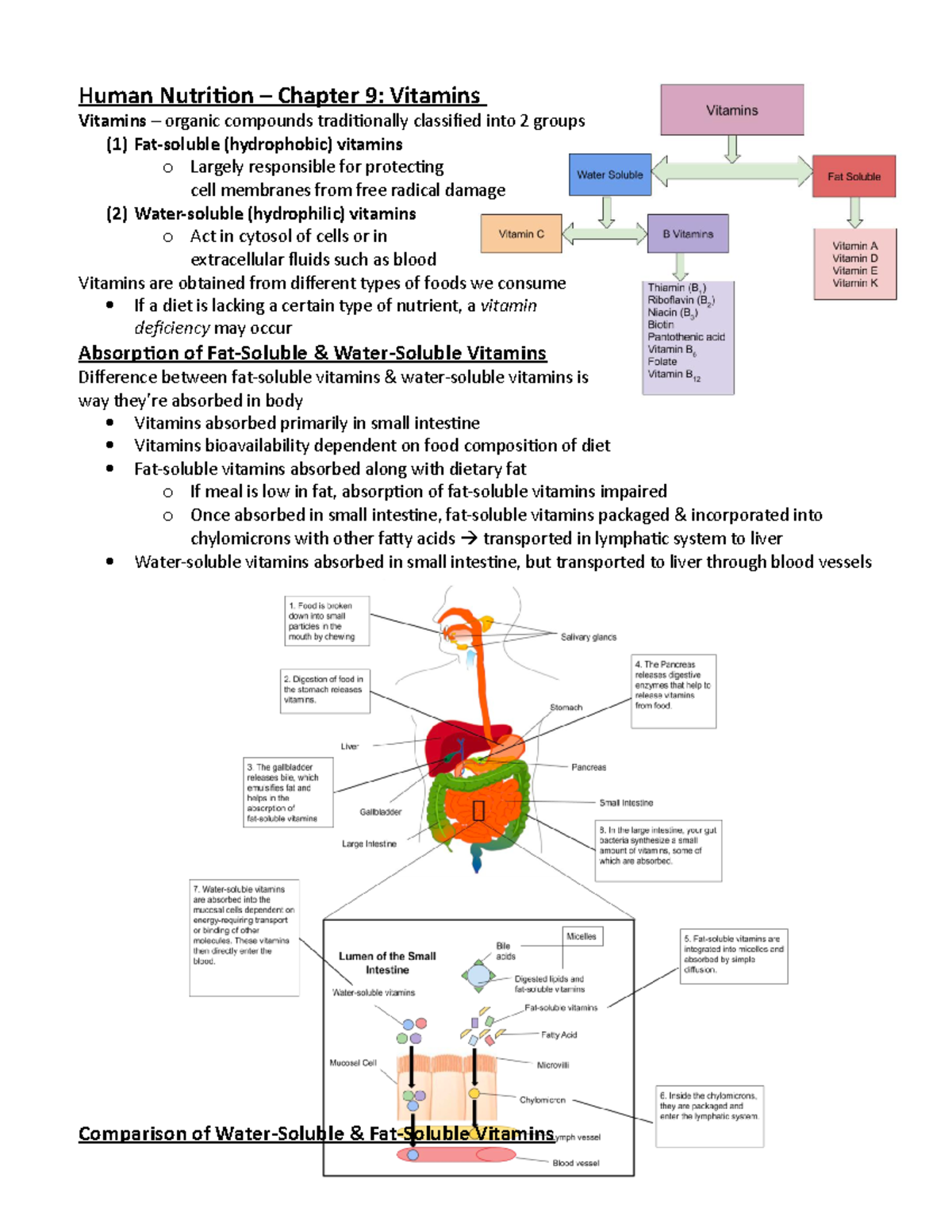 Chapter 9 - Vitamins: Lecture Notes on Nutritional Functions and ...