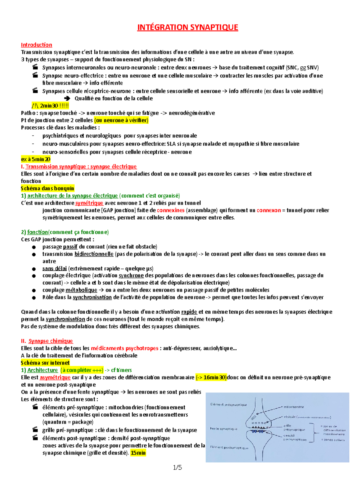 3. Intégration Synaptique en Neurosciences: Concepts Clés et Mécanismes ...