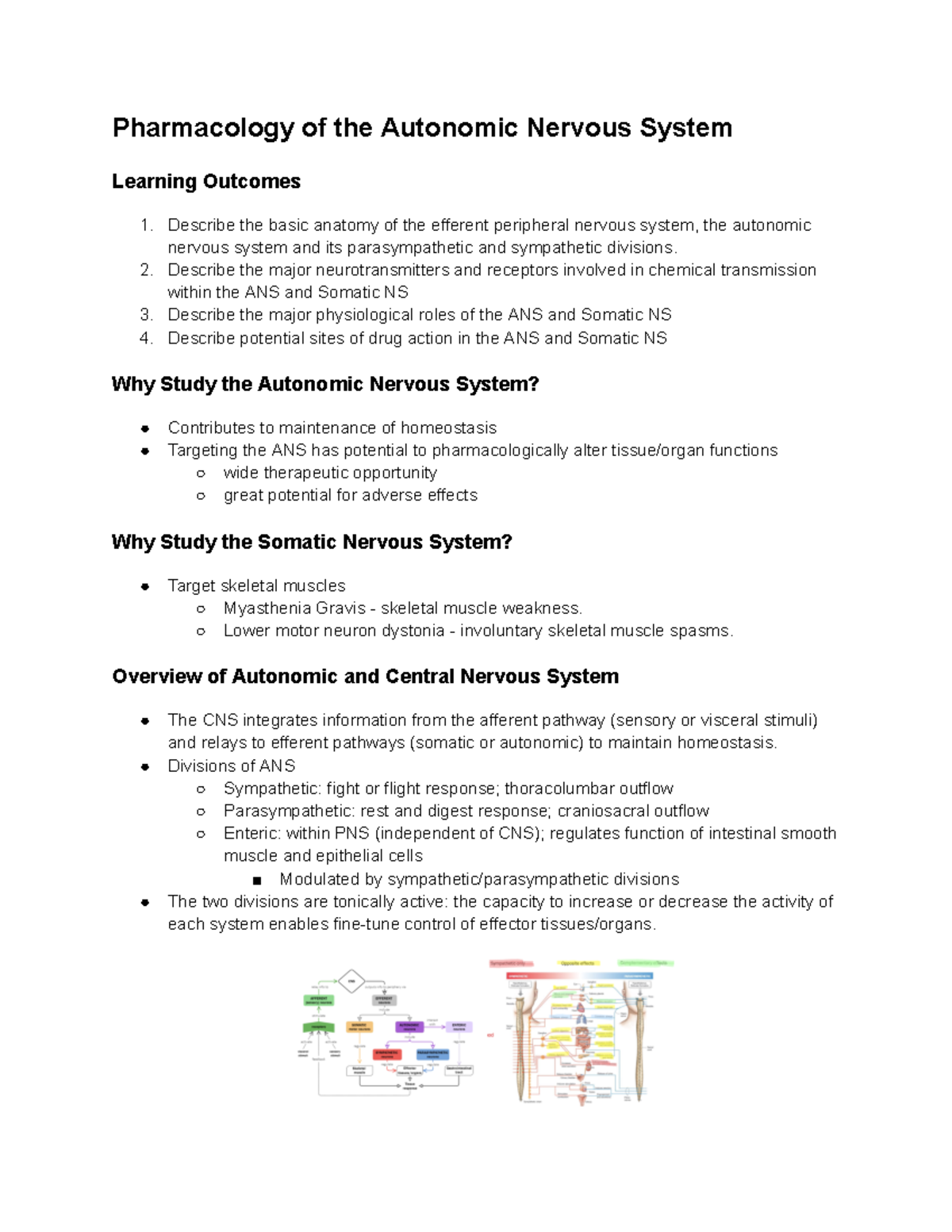 Pharmacology Notes: Autonomic Nervous System (ANS) Overview - Studocu
