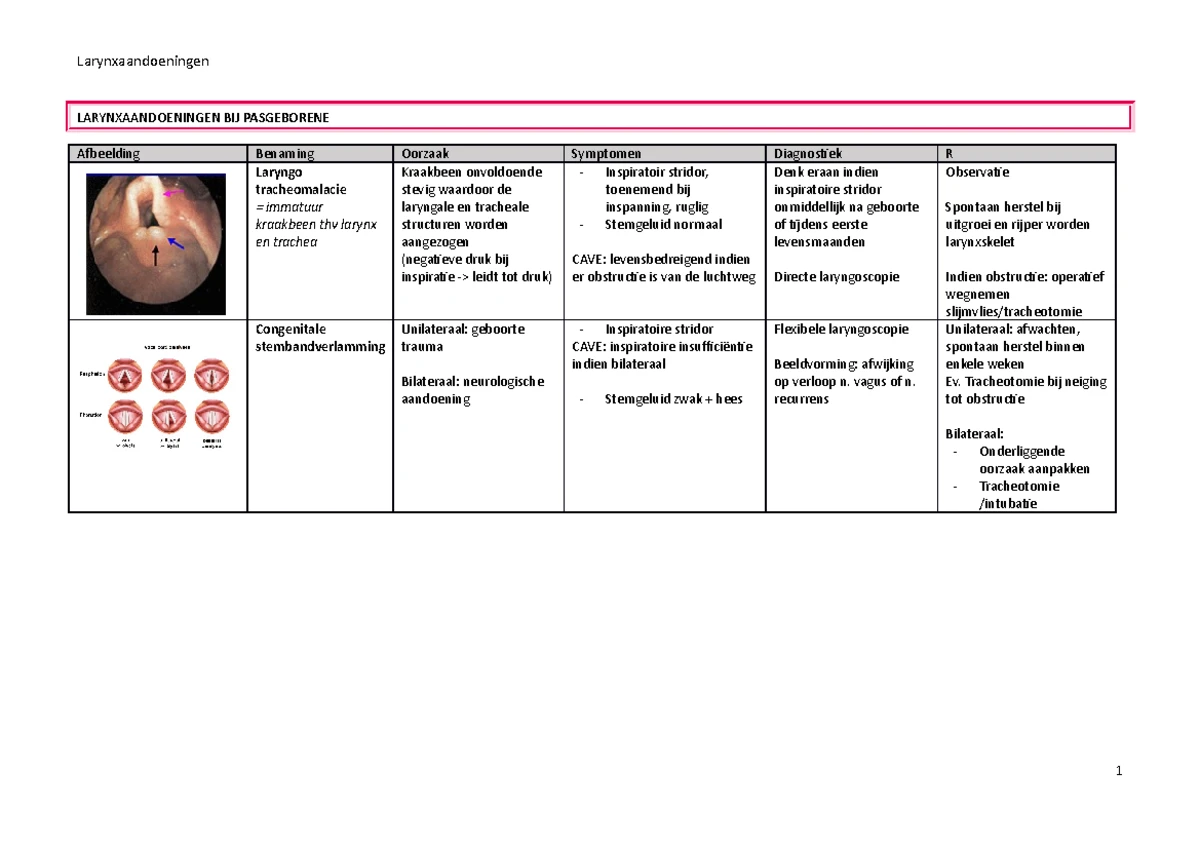SV les 3 - larynx - FUNCTIE LARYNXSPIEREN ABDUCTOREN Afbeelding ...