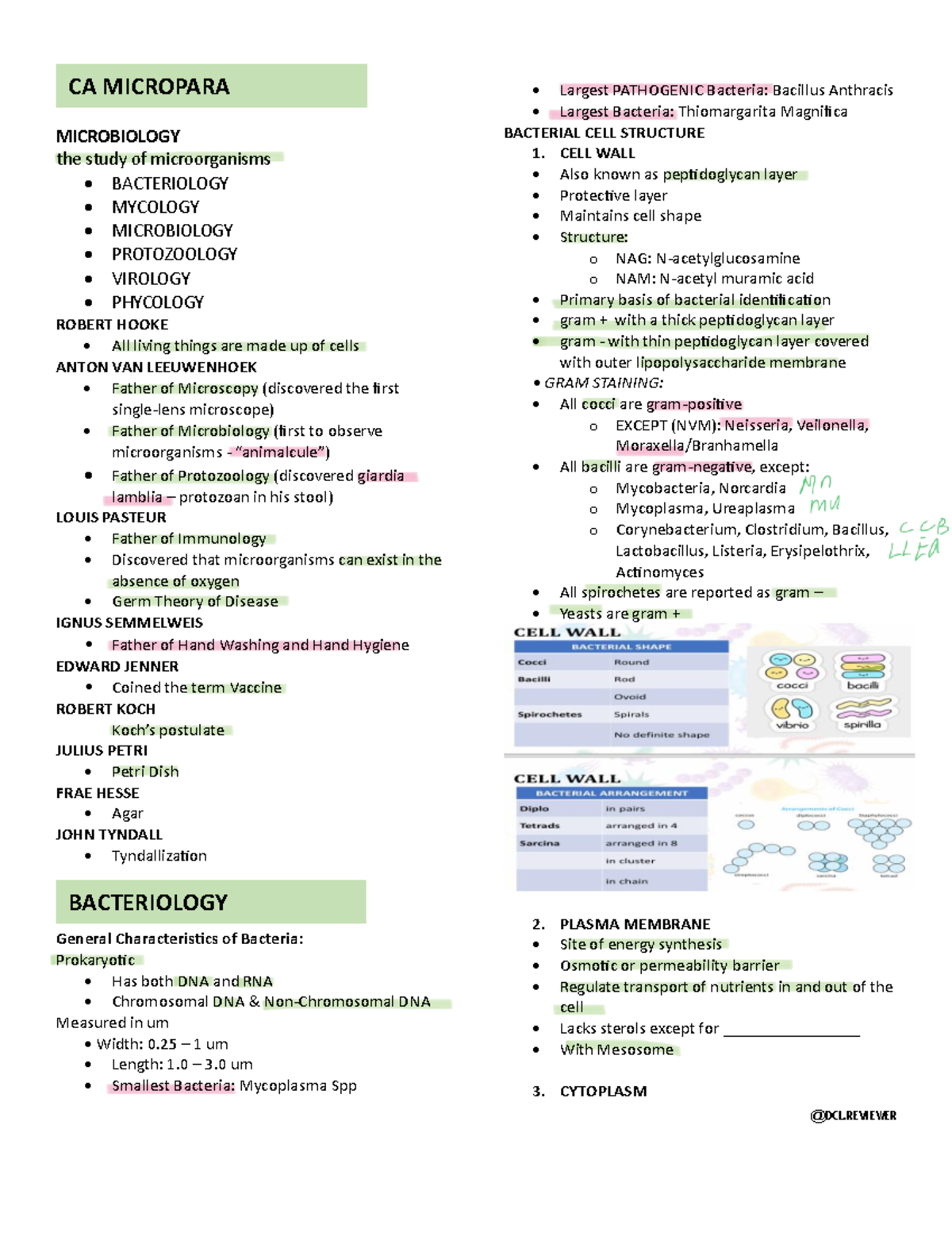 Microbiology Final Exam Review Notes (CA MICROPARA) - Studocu