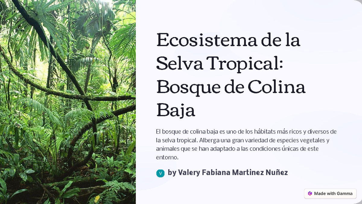 Ecosistema del Bosque de Colina Baja: Características y Amenazas - Studocu