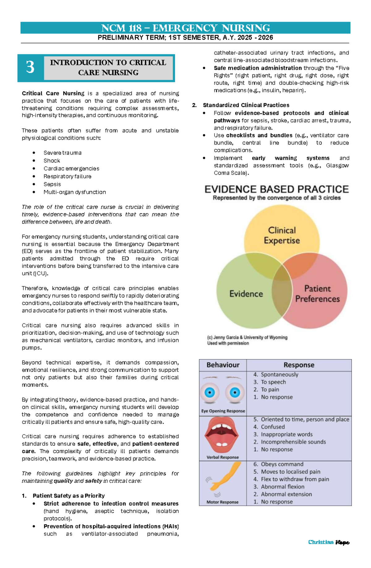 NCM 118 EMERGENCY NURSING PRELIMINARY: Critical Care Insights for 2025 ...