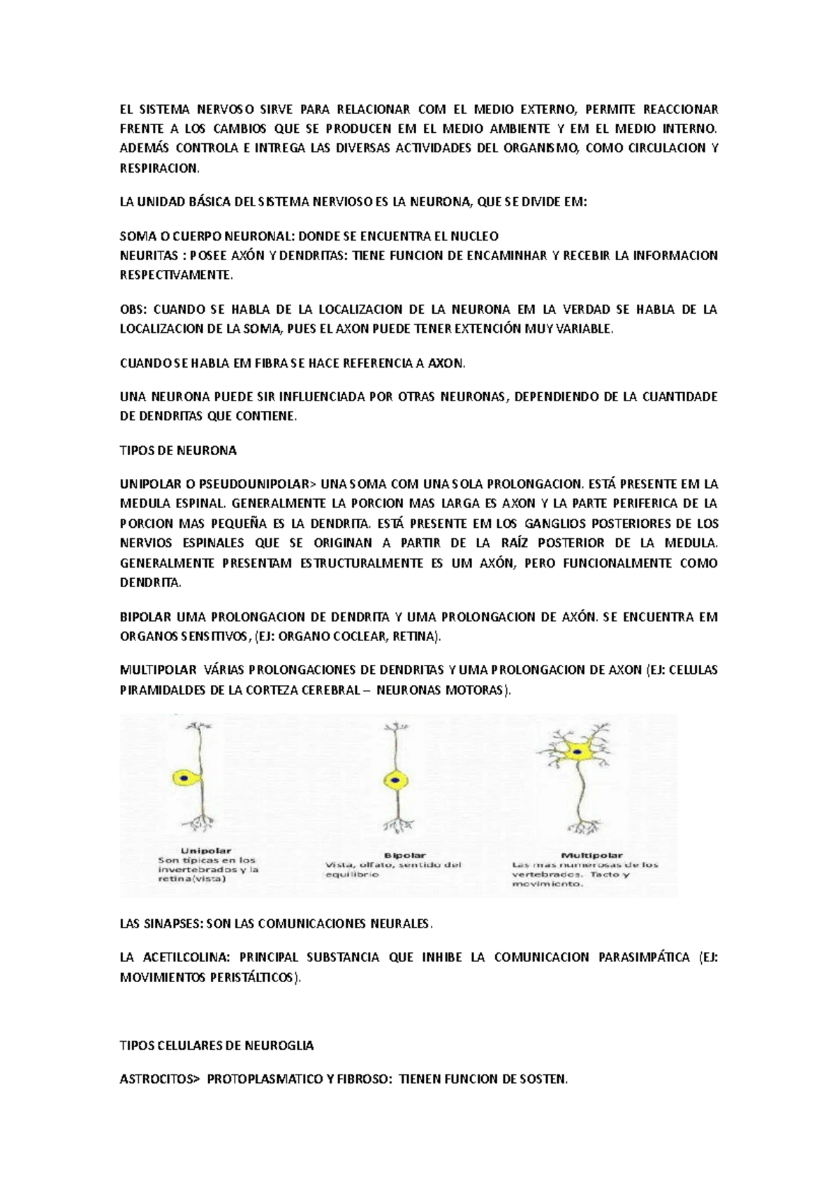 Corazón entrega 2 - Anatomía humana - Cuáles son los surcos del corazón ...