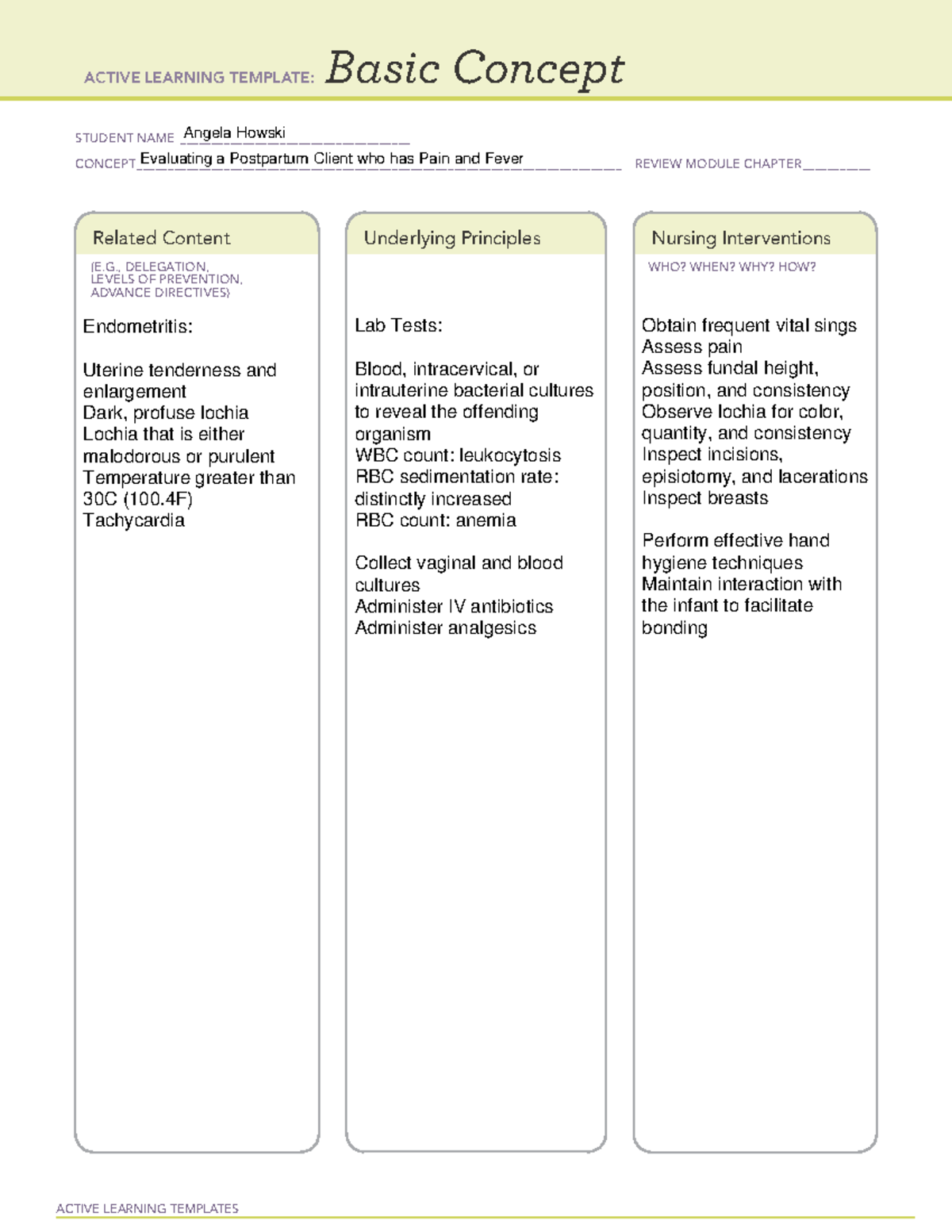Postpartum Pain and Fever Assessment Template for Nursing Students ...