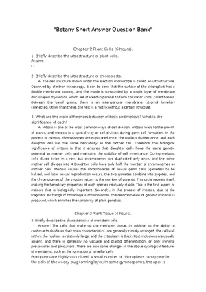 Plant Anatomy - Study Notes & Assignments - Studocu