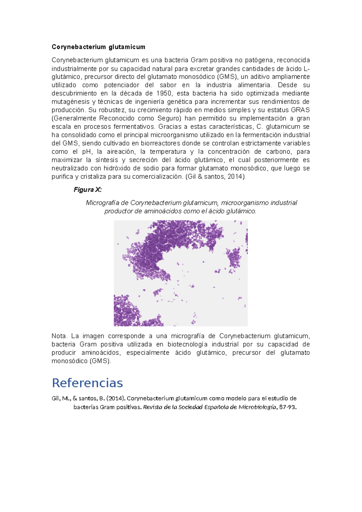 Corynebacterium glutamicum: Producción Industrial de Ácido Glutámico ...