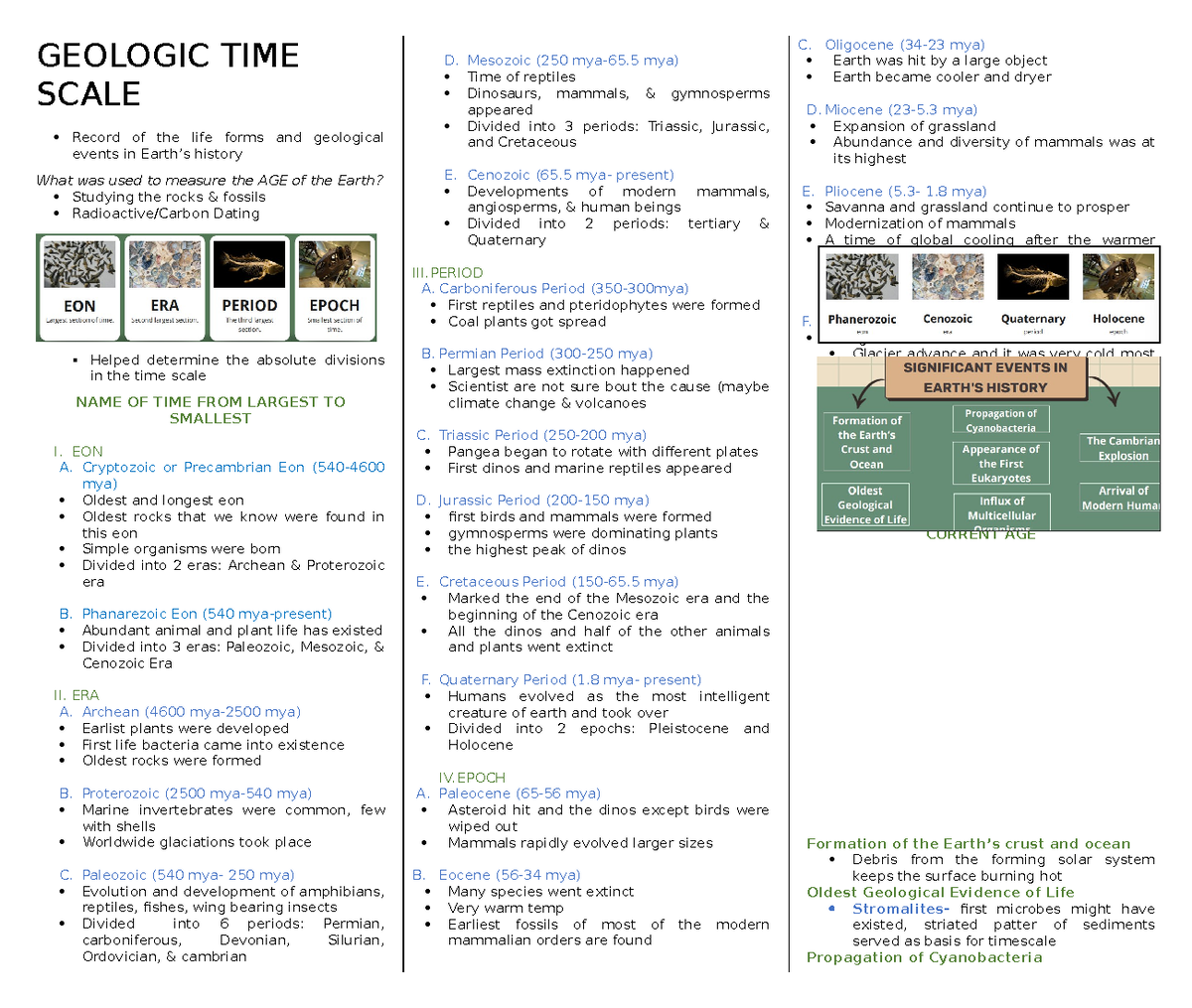 Genbio 2 - Geologic Time Scale Review Notes - Studocu