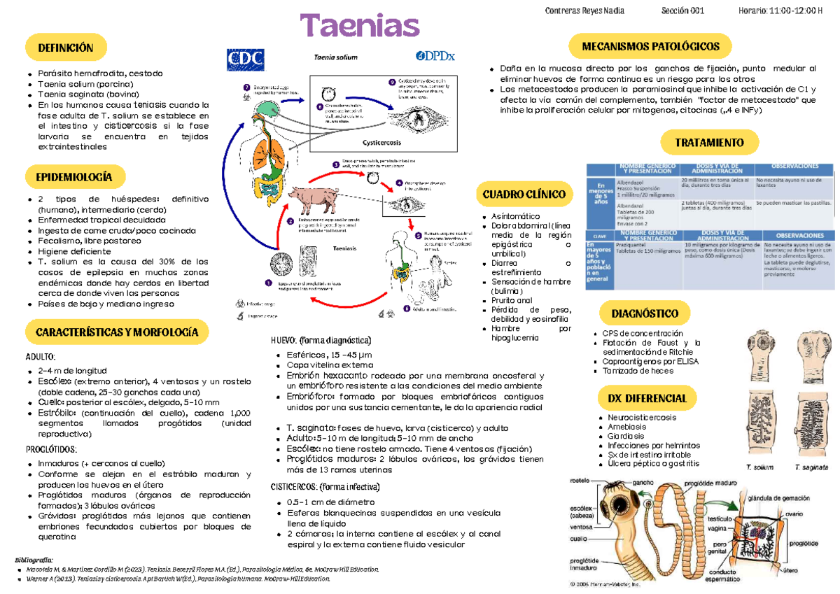 Estudio sobre Taenias: Características y Epidemiología (NCR) - Studocu