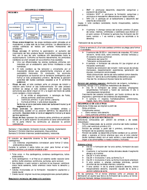 Anatomia DEL Corazon - Surco coronario o AV Surco interventricular ...