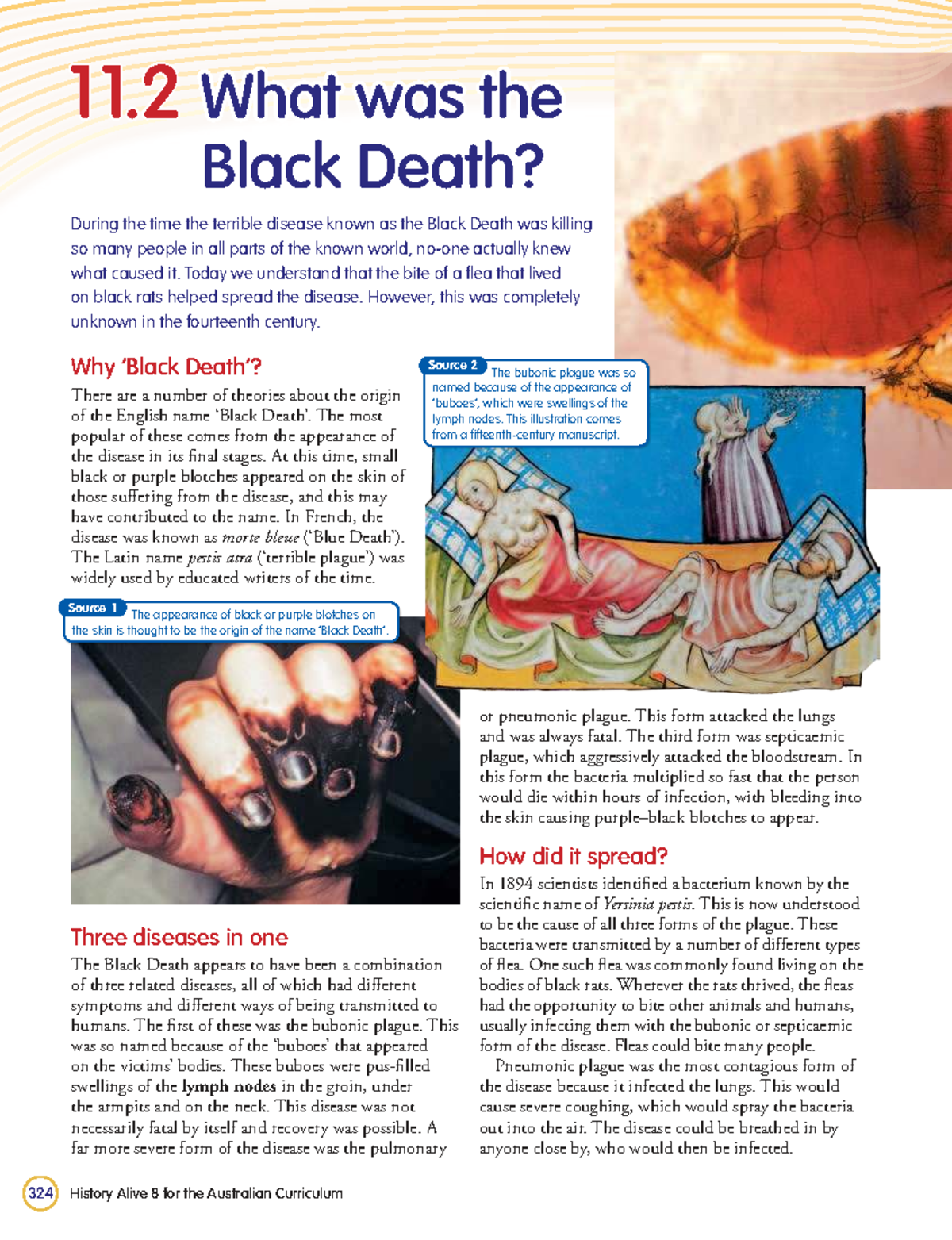 11.2 The Black Death: Understanding the Plague's Impact and Spread ...