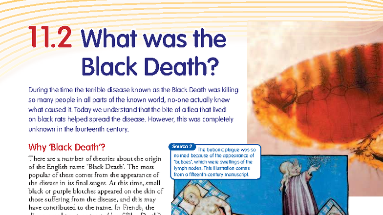 11.2 The Black Death: Understanding the Plague's Impact and Spread ...