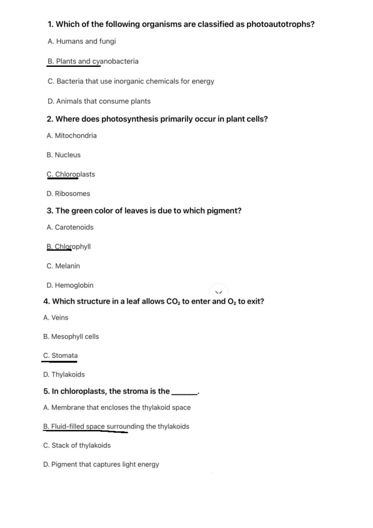 Bio 101: Photosynthesis Review Questions and Answers - Studocu