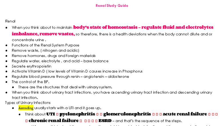 Renal System Study Guide: Functions, Disorders, and Nursing Care - Studocu
