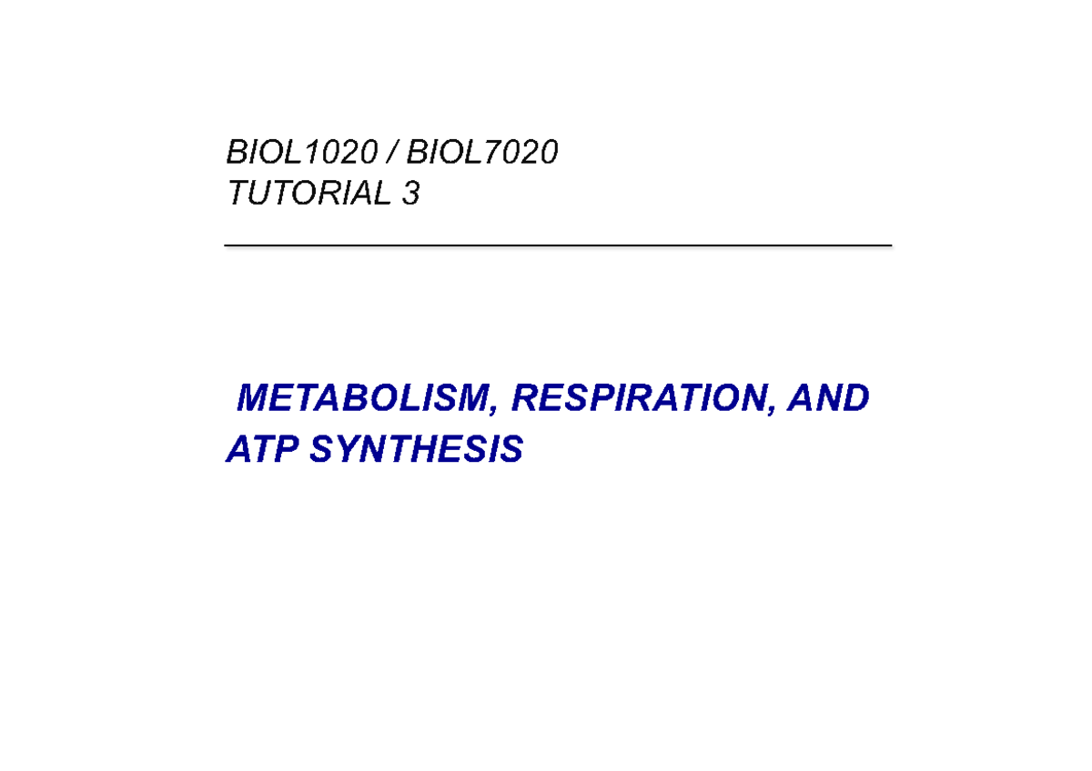 2024 BIOL1020 tutorial slides week3 - METABOLISM, RESPIRATION, AND ATP ...