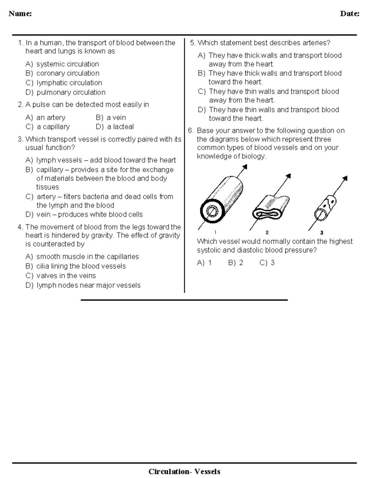 Circulation: Major Blood Vessels and Functions - Study Guide - Studocu