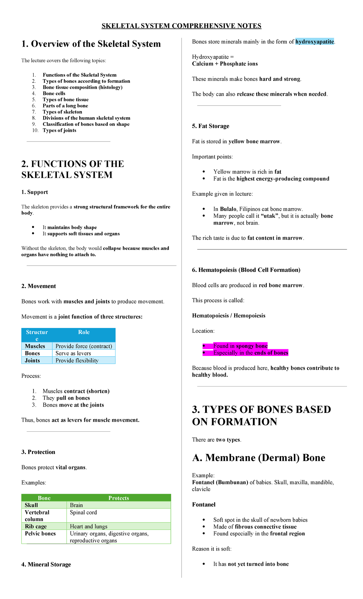 SKELETAL SYSTEM REVIEW NOTES (BIO 101) - Studocu