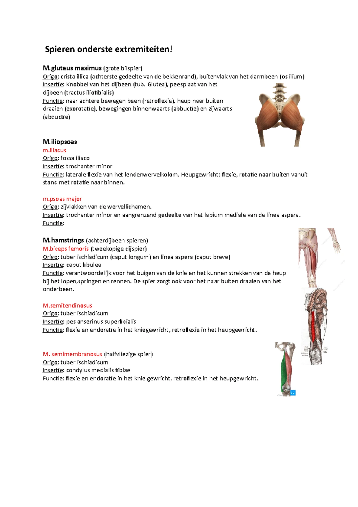 Anatomie H9 - Ademhalingsstelsel samenvatting - Ademhalingsstelsel 2022 ...
