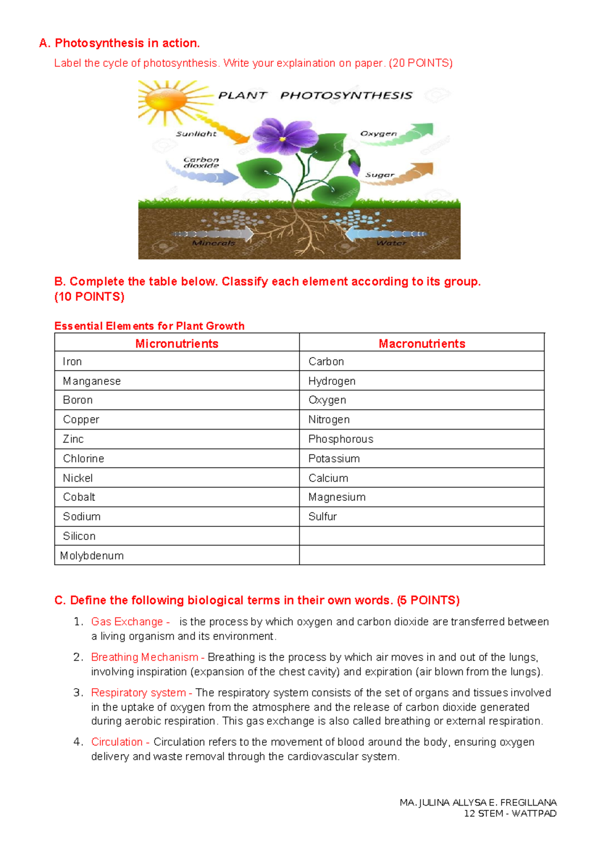 WEEK 2 - Photosynthesis and Respiration Essentials for Science Class ...