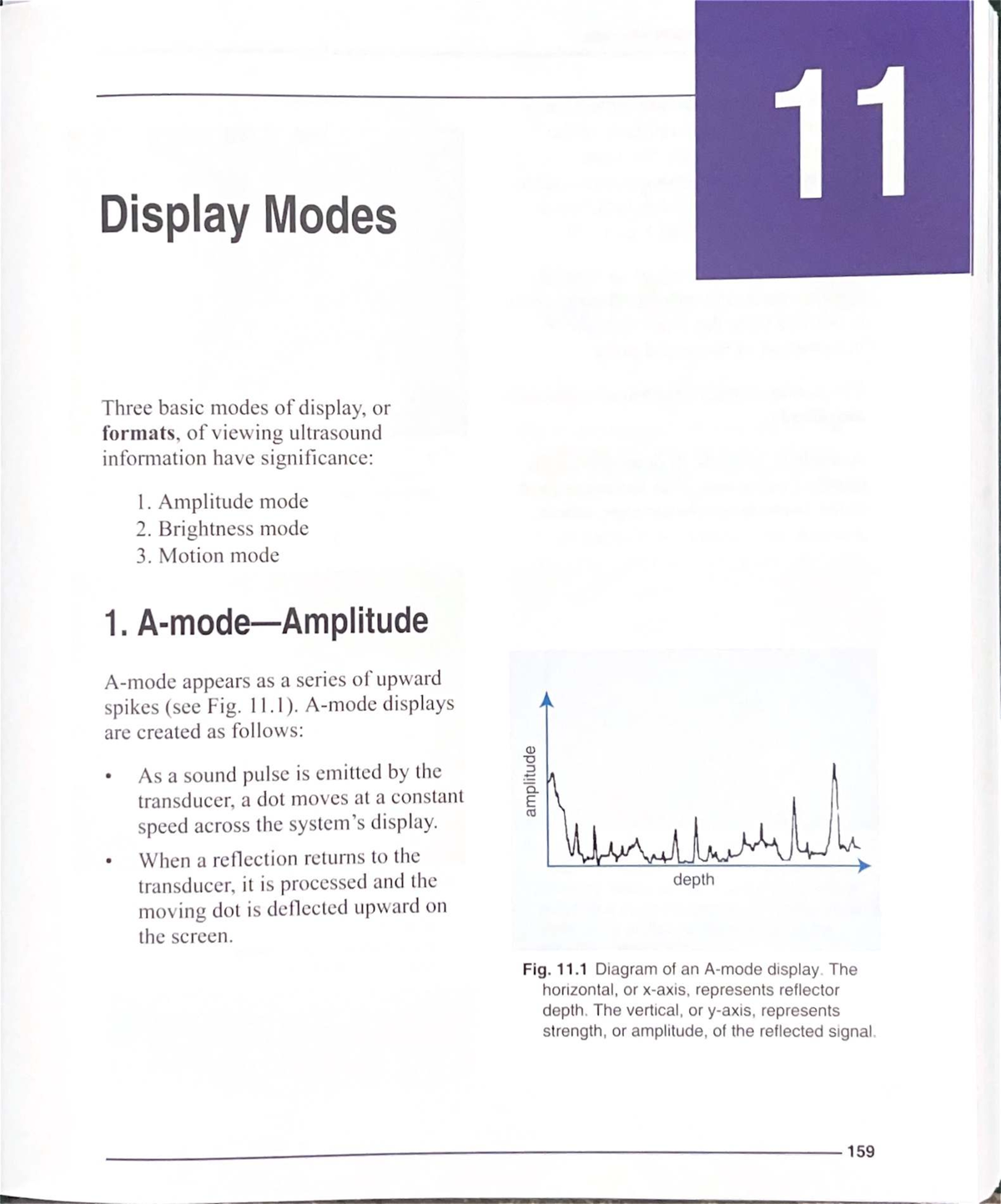 Understanding Ultrasound Display Modes: A Detailed Analysis (Course ...