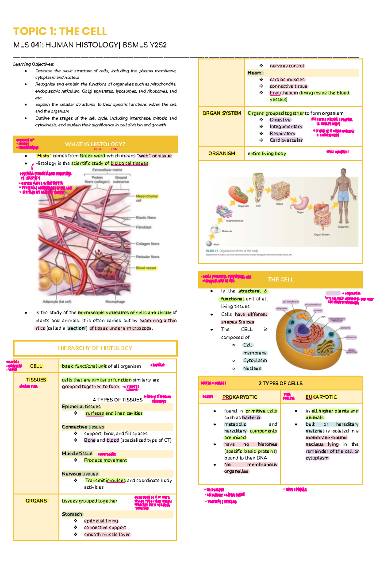 MLS 041: Human Biology - Topic 1 Cell Structure & Histology Notes - Studocu