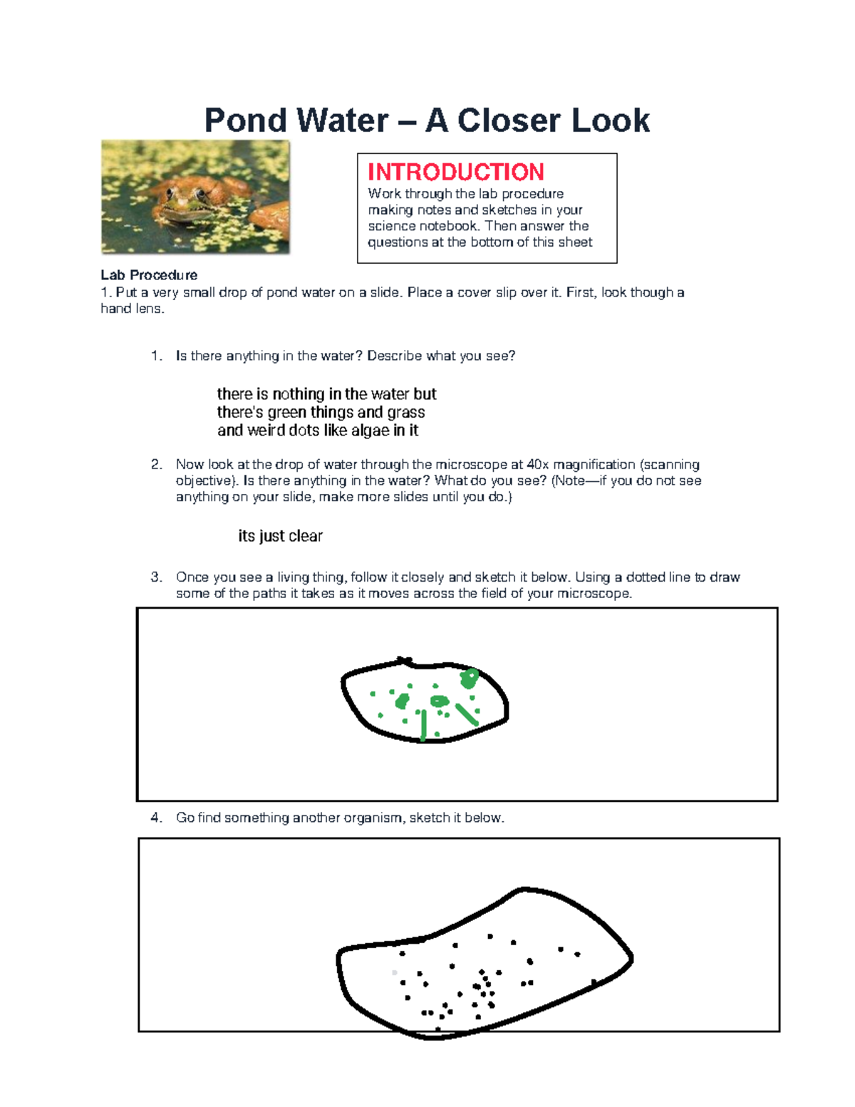 Pond Water Lab: Exploring Microscopic Life in Freshwater - Studocu
