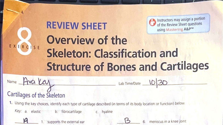Exercise 8 Review Sheet: Classification & Structure of Bones and ...