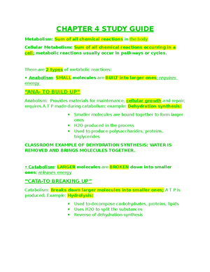 Chapter 6 Study Guide - CHAPTER 6 STUDY GUIDE The skin and its ...