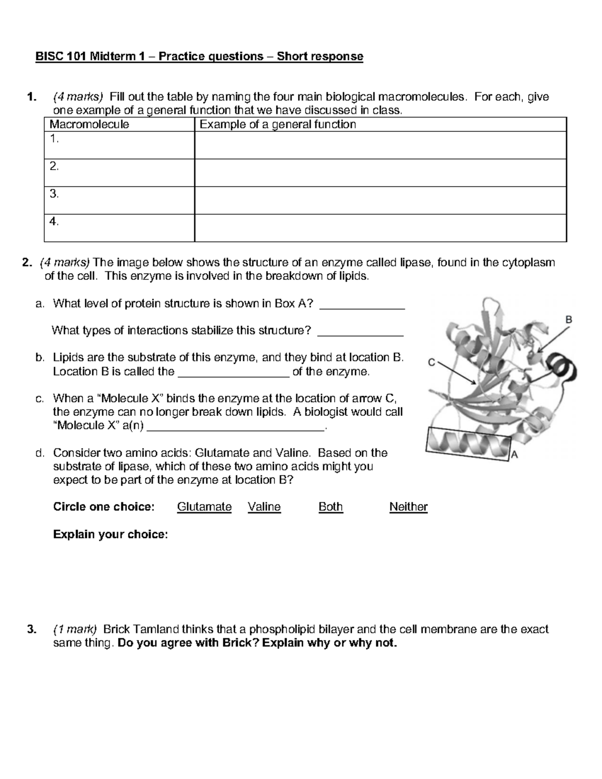 BISC 101 Midterm 1 Practice Questions - Short Response Guide - Studocu