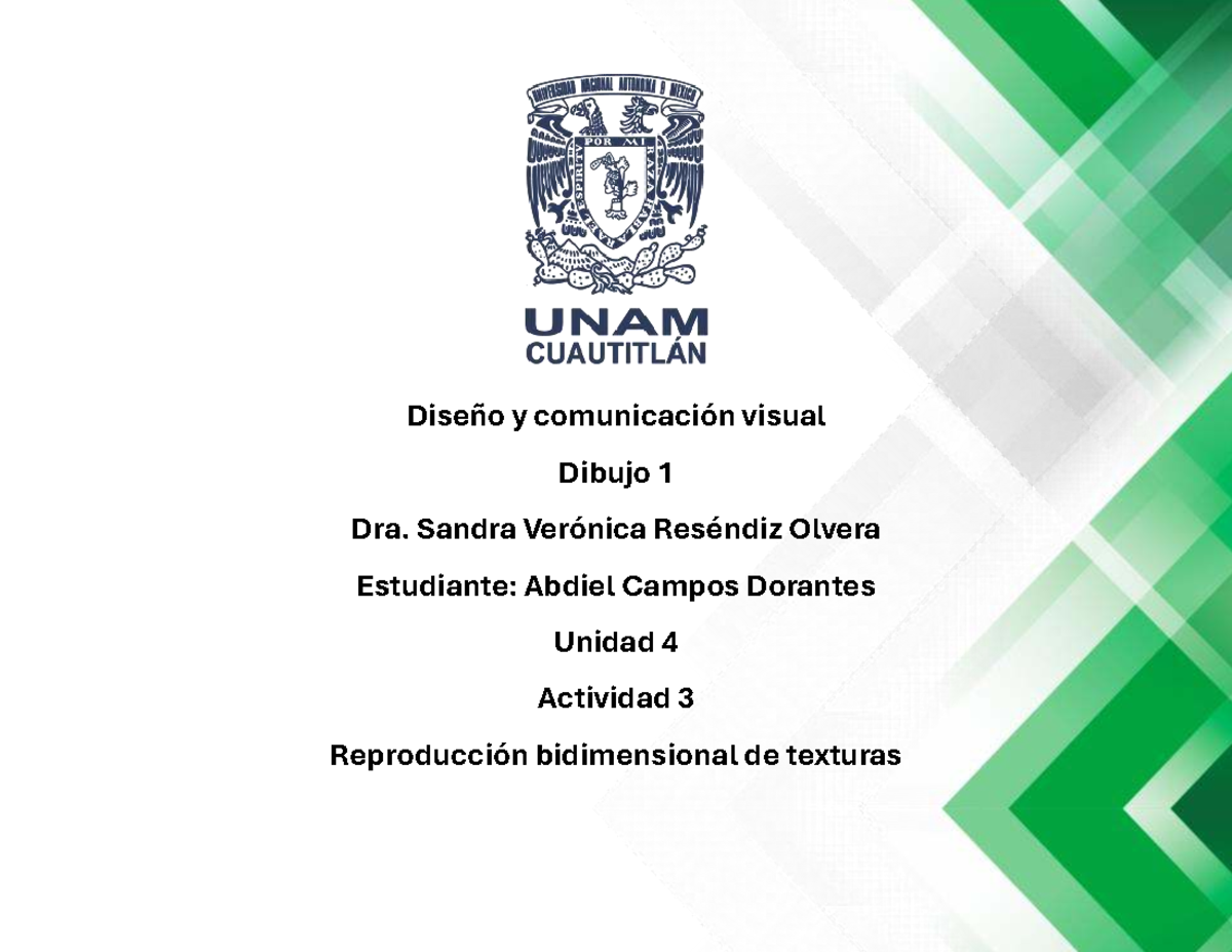U4A3. Reproducción Bidimensional de Texturas en Dibujo 1 - Studocu