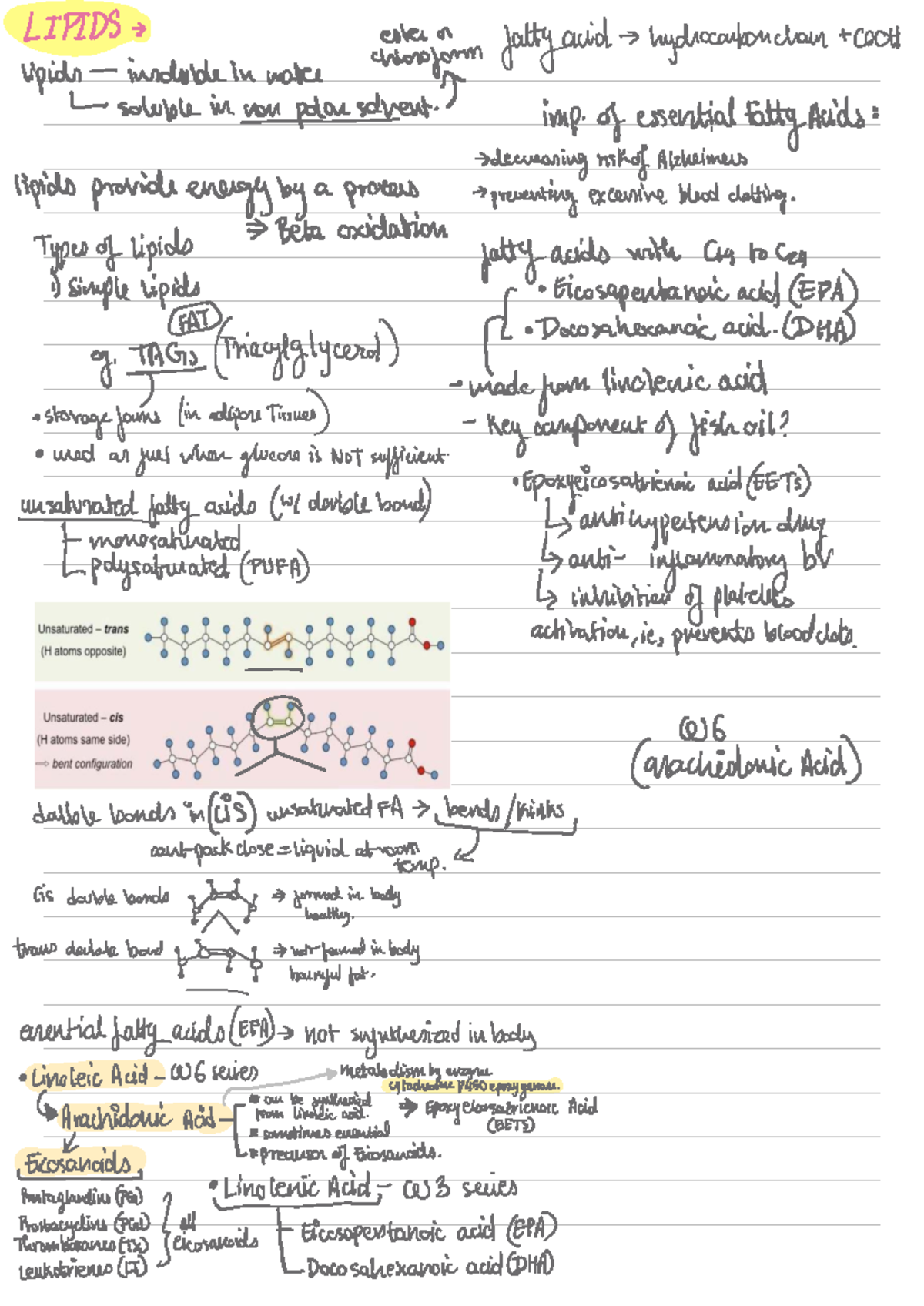 LIPIDS 101: Understanding Simple Lipids and Their Functions - Studocu