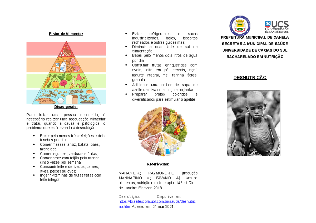 Piramide Alimentar Lactea Sustagen Kids Complemento Alimentar Sabor