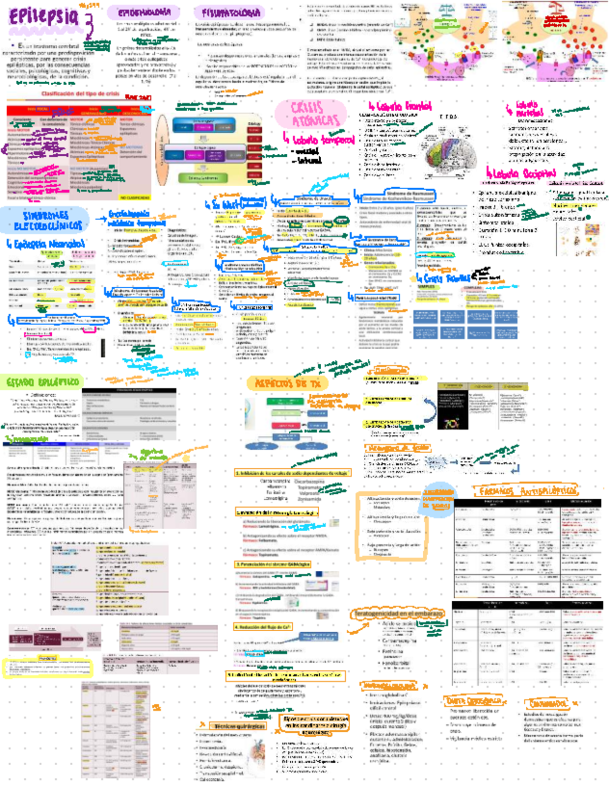 Notas de Neurociencia: Epidemiología y Fisiopatología en Neonatos ...