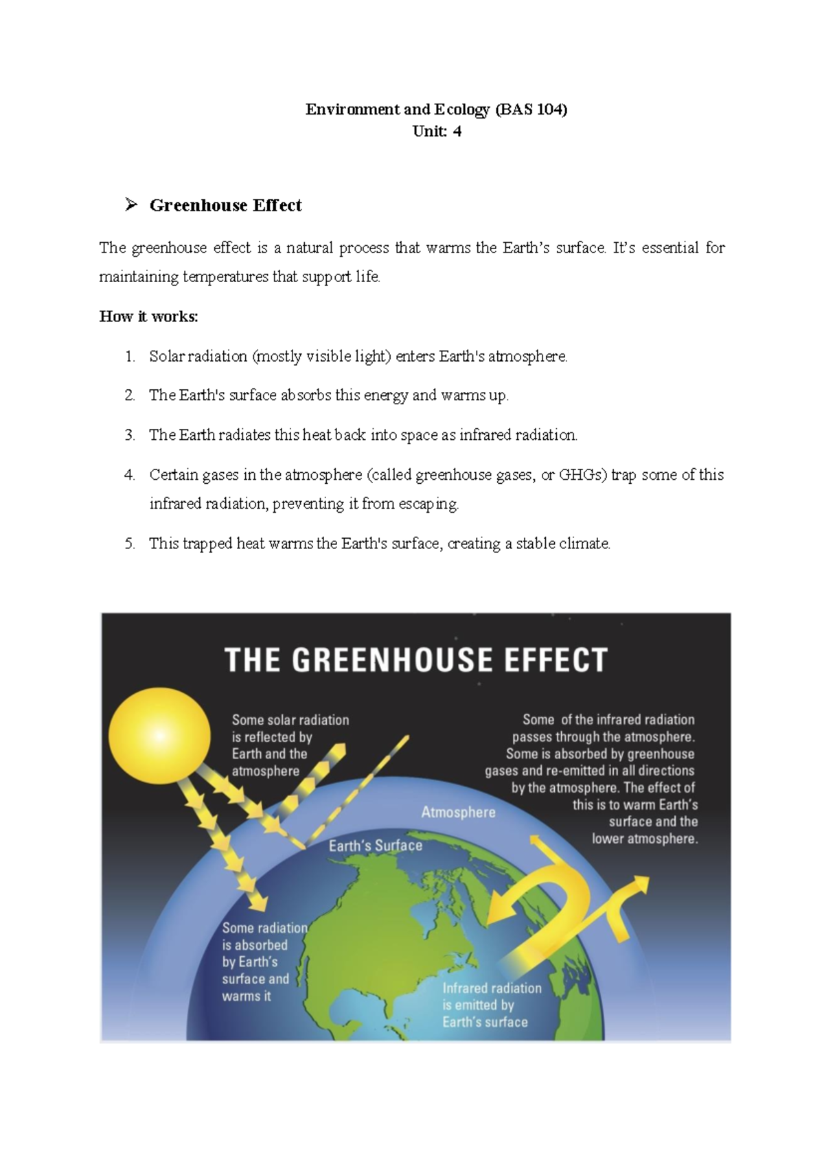Unit 4 Notes on Environment and Ecology (BAS 104) - Studocu