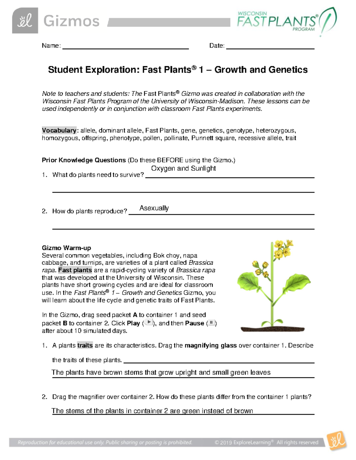 Student Exploration: Fast Plants® 1SE - Growth & Genetics Activities ...