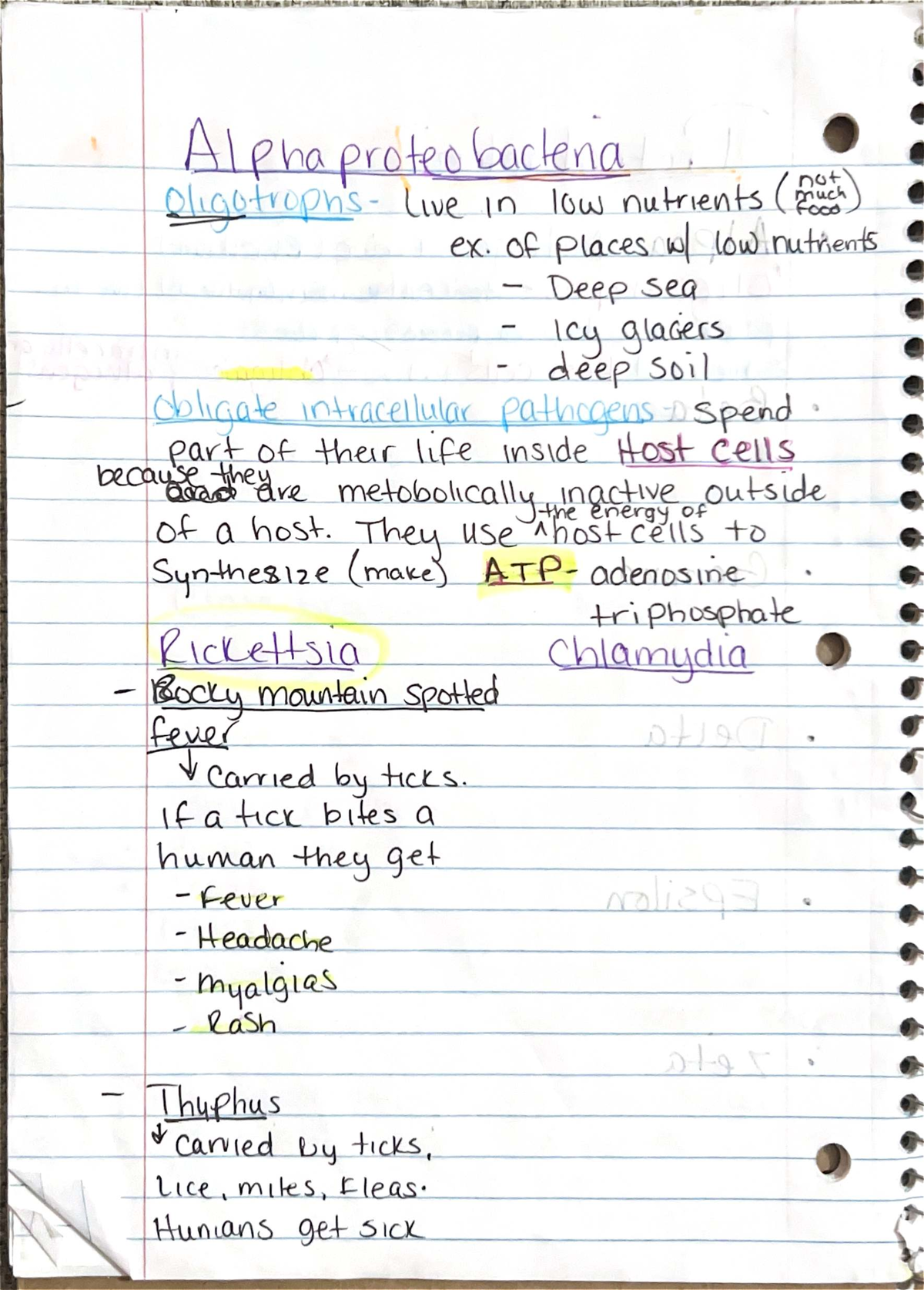 Alpha Proteobacteria - Lecture Notes Chapter 4 (OpenStax) - Studocu
