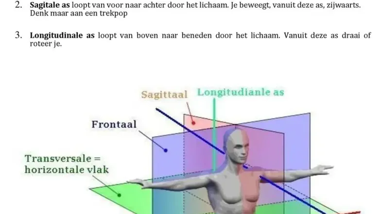 Hoorcollege 4: Anatomische Positie en Bewegingsvlakken/assen - Studeersnel