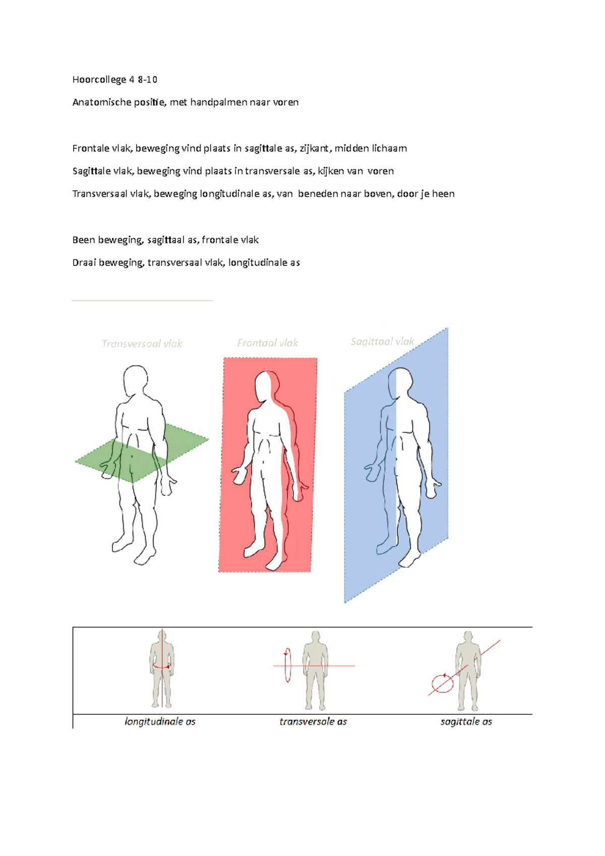 Hoorcollege 4: Anatomische Positie en Bewegingsvlakken/assen - Studeersnel