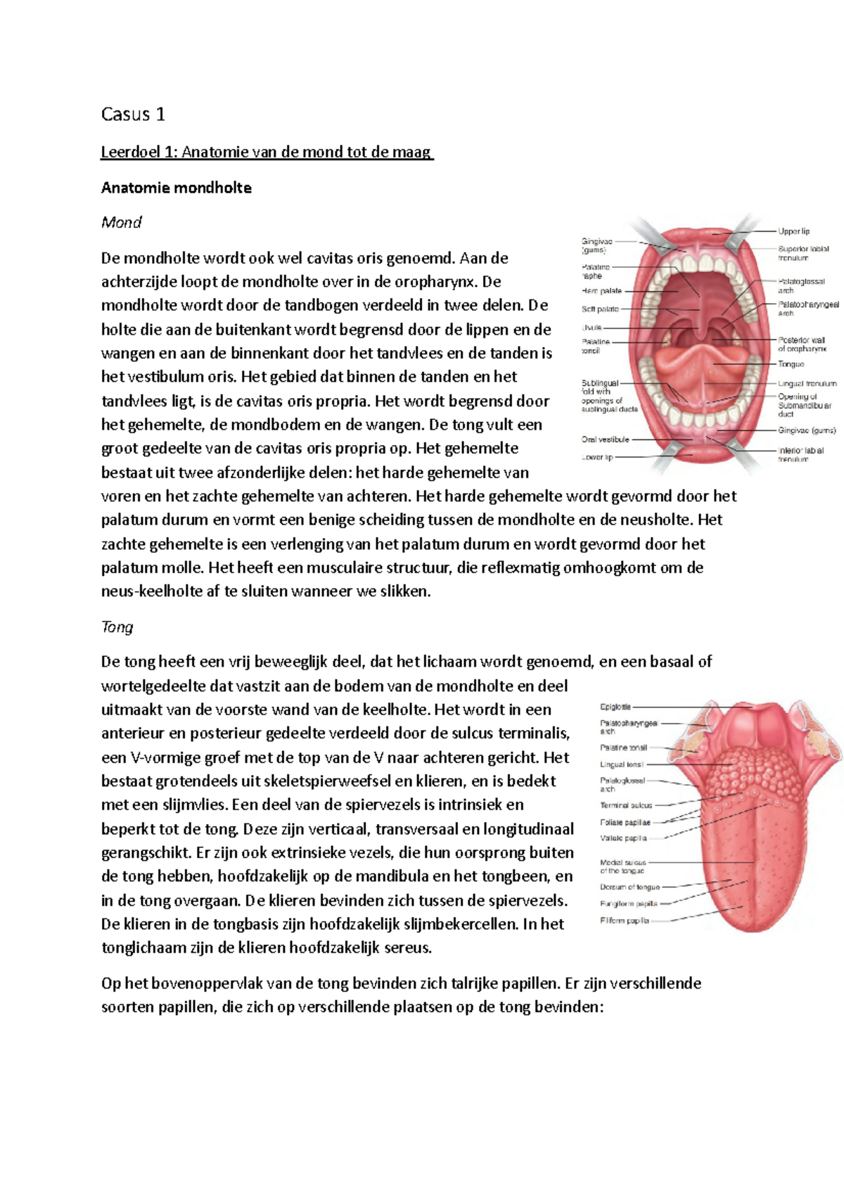 Casus 1: Anatomie en Fysiologie van Mond en Maag (Cursuscode) - Studeersnel