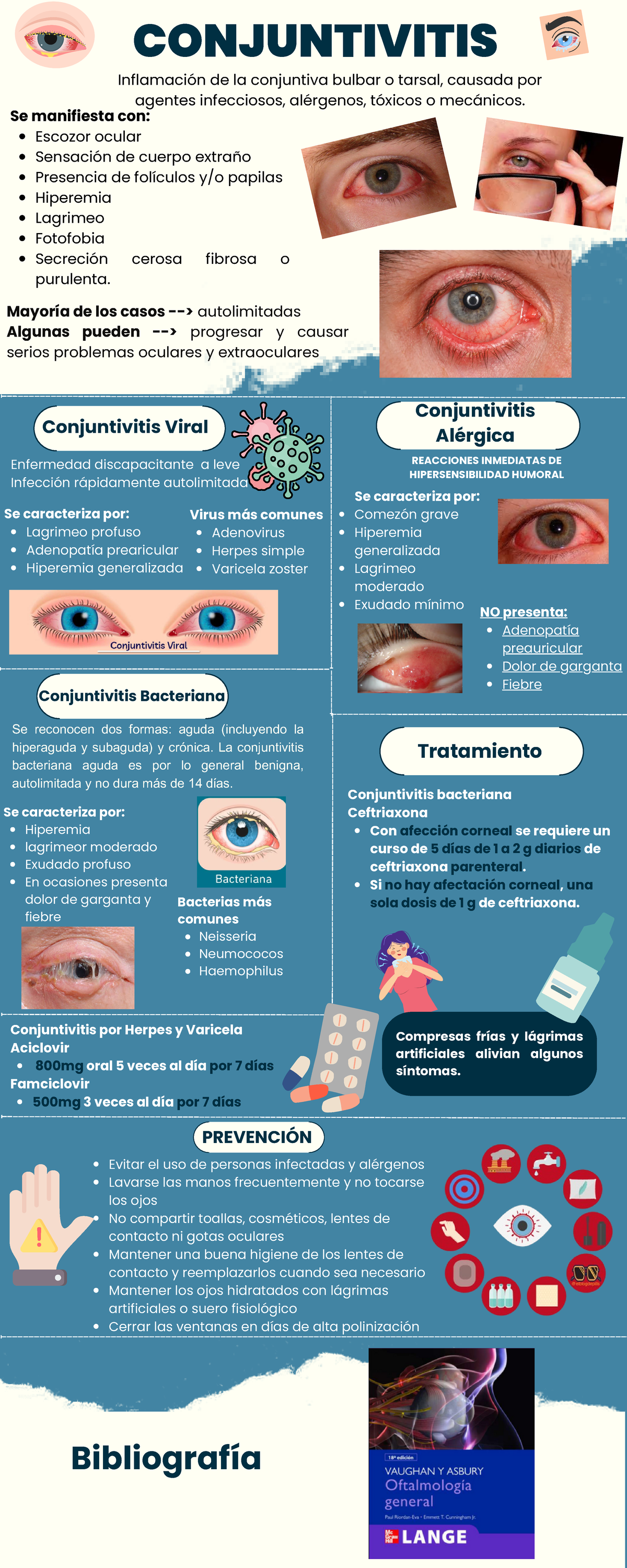 Infografia Conjuntivitis - Se caracteriza por: Lagrimeo profuso ...