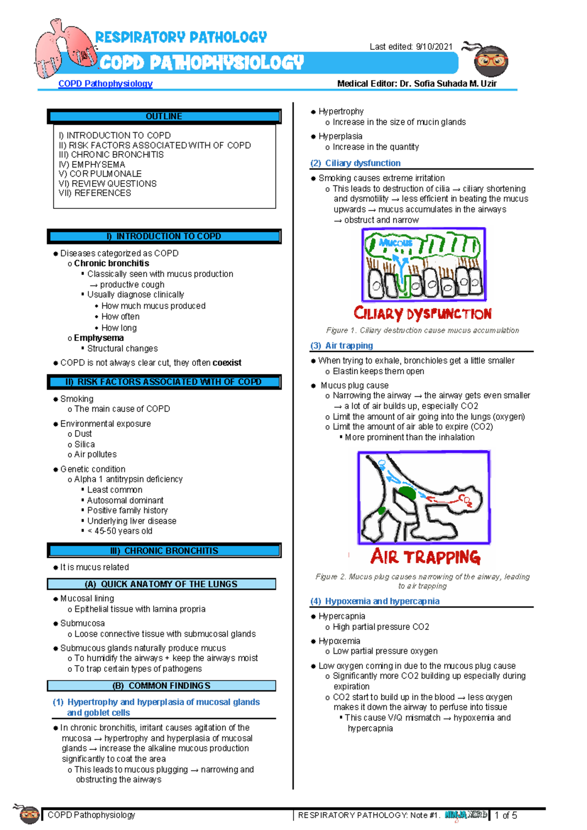COPD Pathophysiology Overview: Key Concepts and Exam Notes - Studocu
