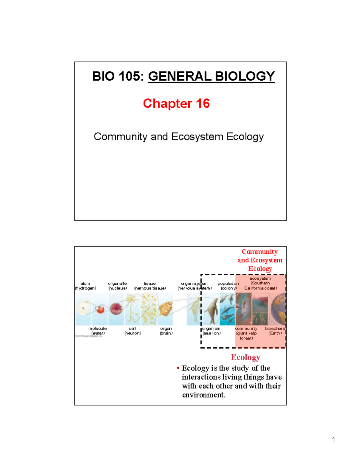 Chapter 16: Community and Ecosystem Ecology - BIO 105 - Studocu