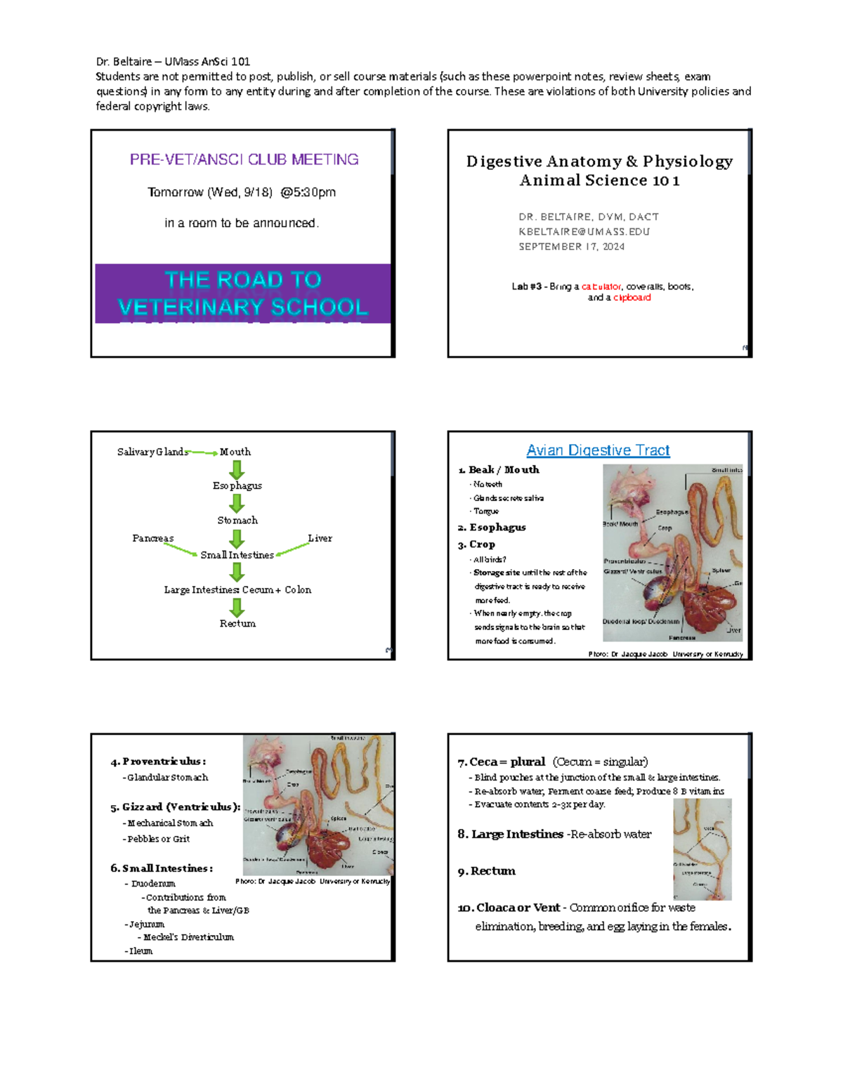 Animal Nutrition and Digestive Anatomy - UMass AnSci 101 Lecture Notes ...
