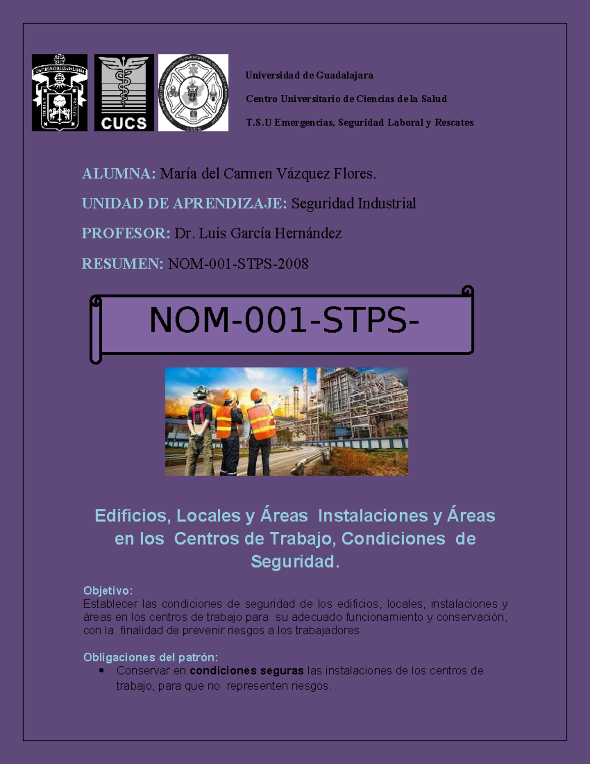 Resumen de la NOM 001 STPS 2008 - Seguridad Industrial y Obligaciones ...