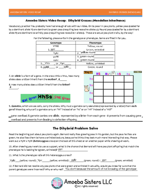 mitosis by amoeba sisters - AMOEBA SISTERS: VIDEO RECAP MITOSIS: THE ...